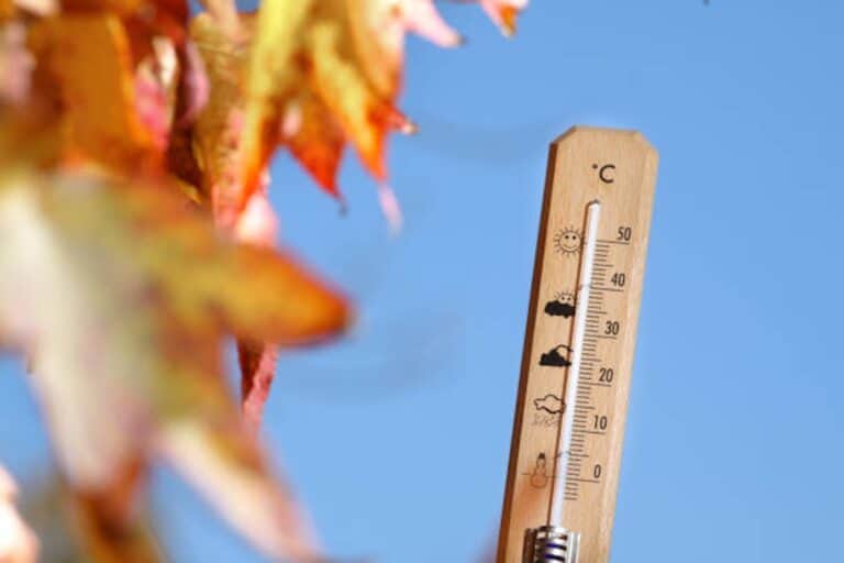 Last weekend of autumn to bring chilly weather to Gauteng | The Citizen