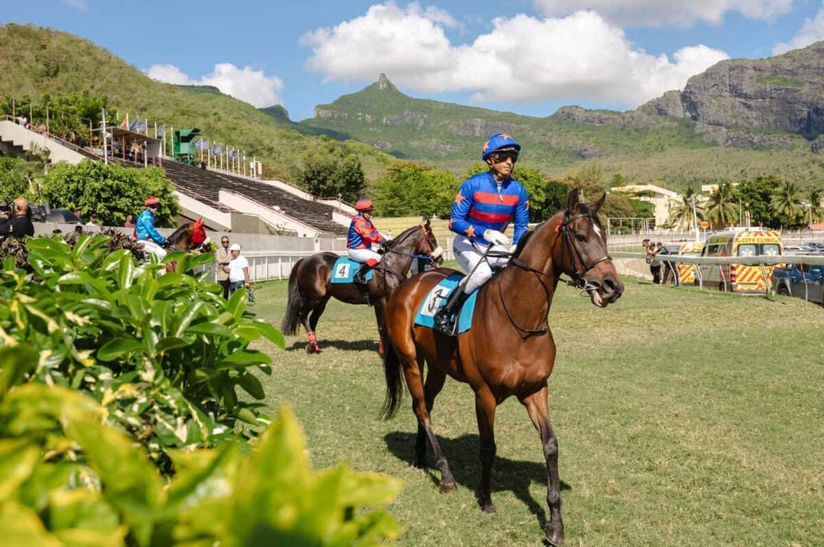 Why Mauritius is secretly Africa's most exciting horse-racing ...