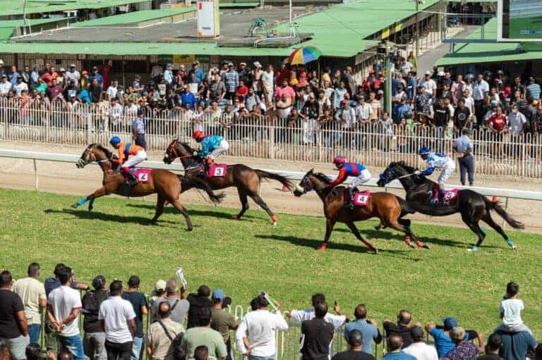 Why Mauritius is secretly Africa's most exciting horse-racing ...