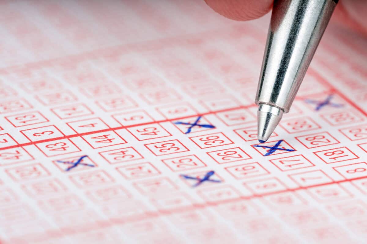 Daily Lotto results: Sunday, 7 June 2026 | The Citizen