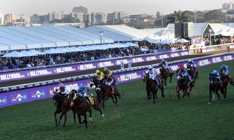 Zeitz can break Durban July colour drought | The Citizen