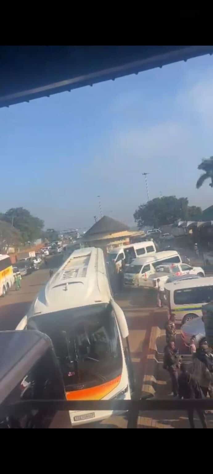 BMA confirms departure of 933 Mozambicans in major repatriation operation