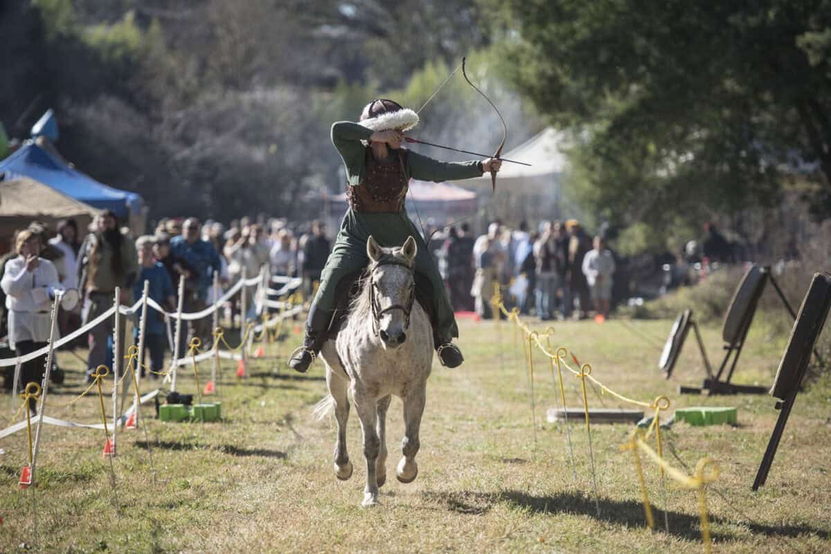 PICTURES: Step back in time at the Medieval Fayre | The Citizen